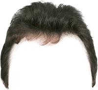 Virtual Hairstyle Simulator - Try On Haircuts Online